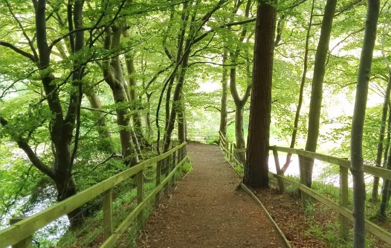 Annbank And Mossblown Trails | Destination South Ayrshire